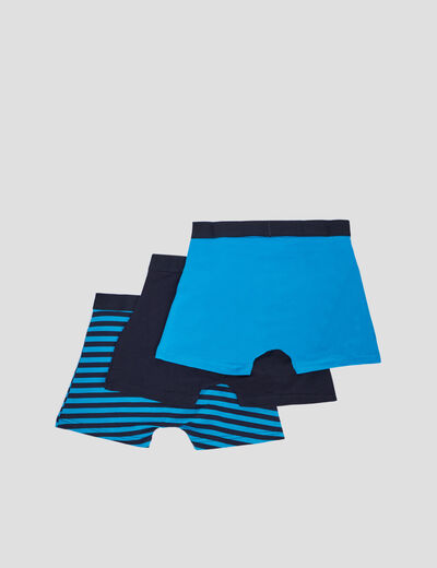 Boxer Briefs Hanes Lot De 3 Boxers Pour Homme, Carreaux Bleus, XL ...